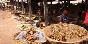 Gboko Markets – I am Benue